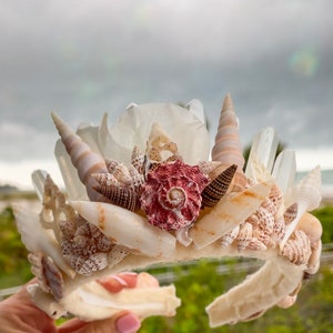 Seashell Crown - Etsy