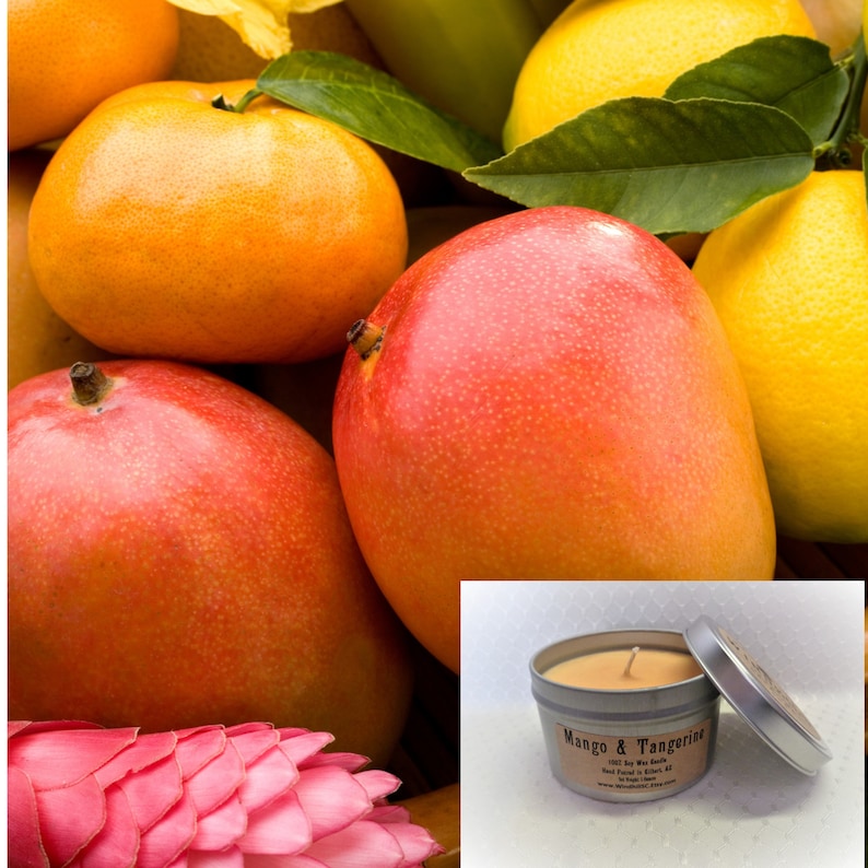 Mango & Tangerine Scented Soy Candle in 6oz and 8oz Tins - Etsy