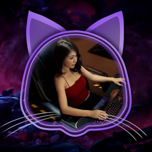 Twitch Animated Cat Webcam Overlay - Etsy