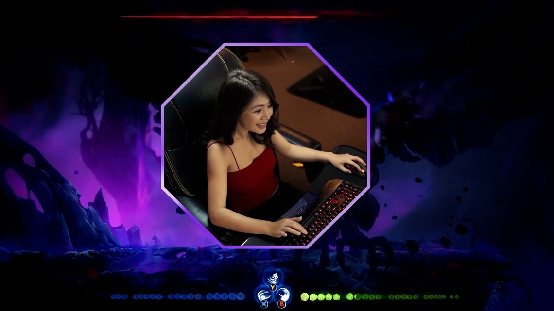 Twitch Animated Octagon Webcam Overlay - Etsy