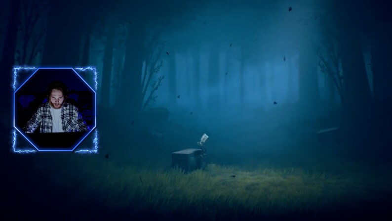 Twitch Animated Electric Octagon Webcam Overlay - Etsy