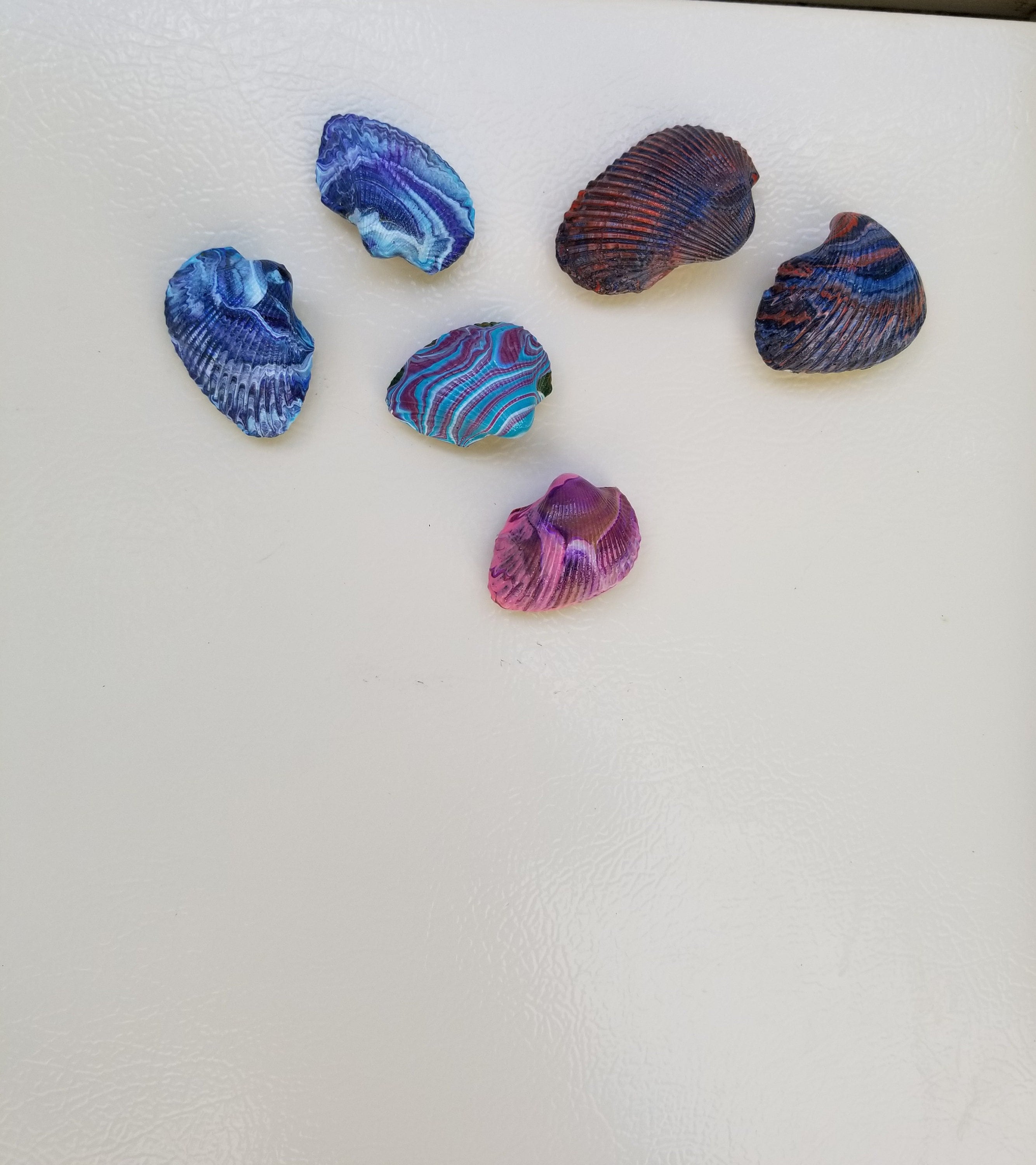 Painted Seashell Magnet Painting Art & Collectibles etna.com.pe