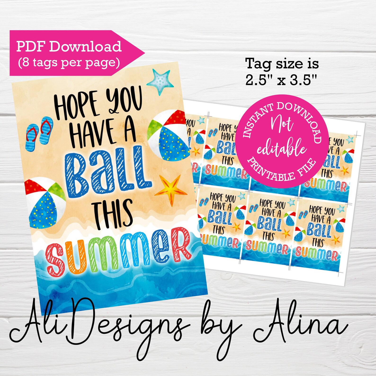 Hope You Have a Ball This Summer Printable Tags INSTANT - Etsy