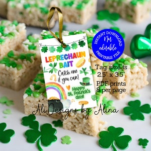 Leprechaun Bait PRINTABLE Tag, St Patricks Day Tag, Gift for Classmate ...