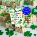 Leprechaun Bait PRINTABLE Tag, St Patricks Day Tag, Gift for Classmate ...
