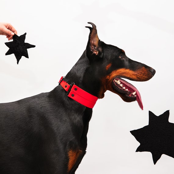 Red Doberman Collars