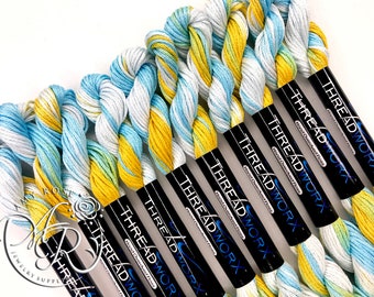 Threadworx 10130 Variegated Embroidery Floss Marbled Frosting - Etsy