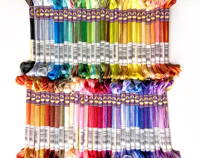 DMC 4515 Coloris Variegated Embroidery Floss Paris - Etsy
