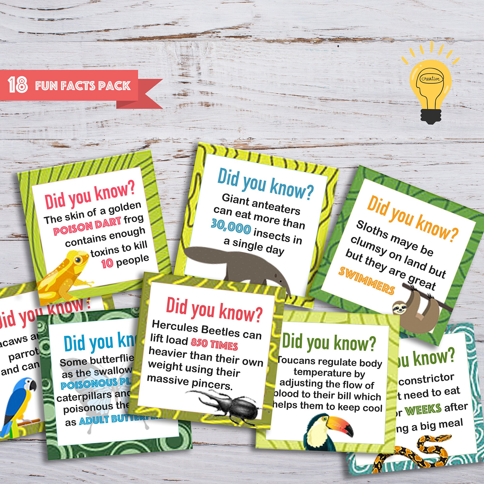 Lunch Notes Jungle Animals Facts 18 Notes Printable Etsy lunch-notes-jungle-animals-facts-18-notes-printable-etsy