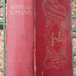 Antique Book the JUNGLE Book by Rudyard Kipling 1912 Well Illustrated ...