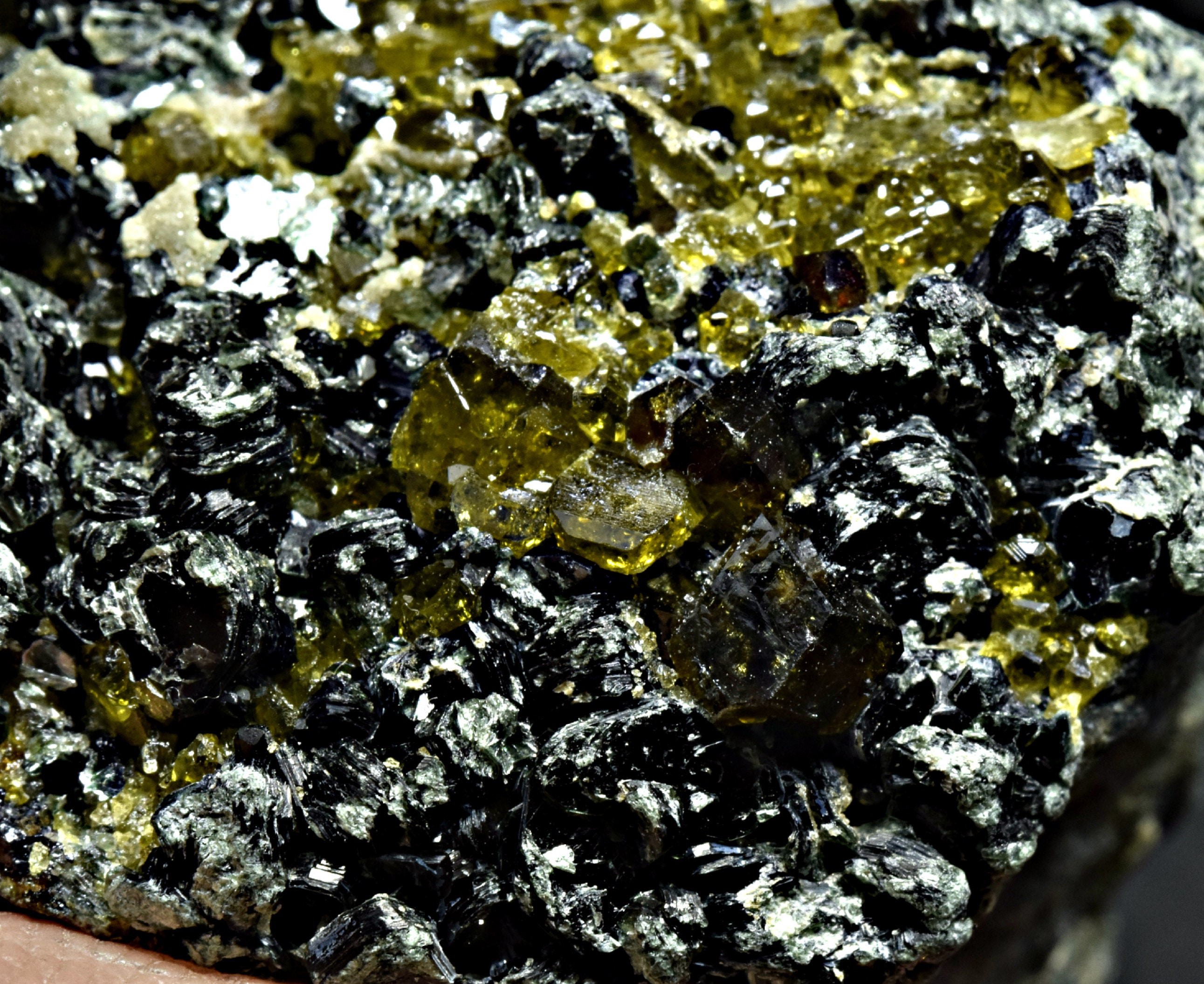 204 Carat Green Vesuvianite Crystal Specimen With Andradite Garnet ...