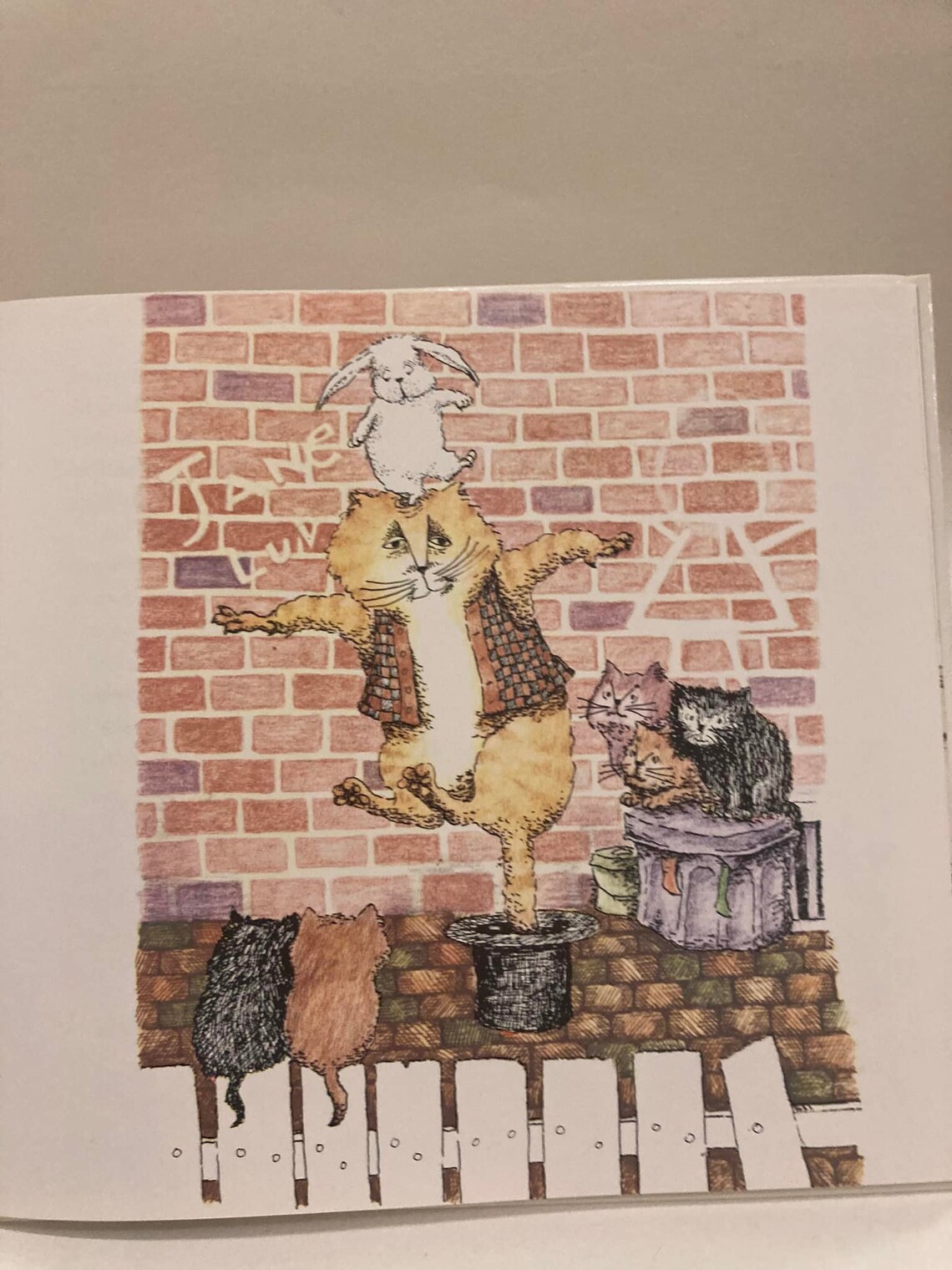 Finnigan the Top Cat First Edition Published in 1979 - Etsy