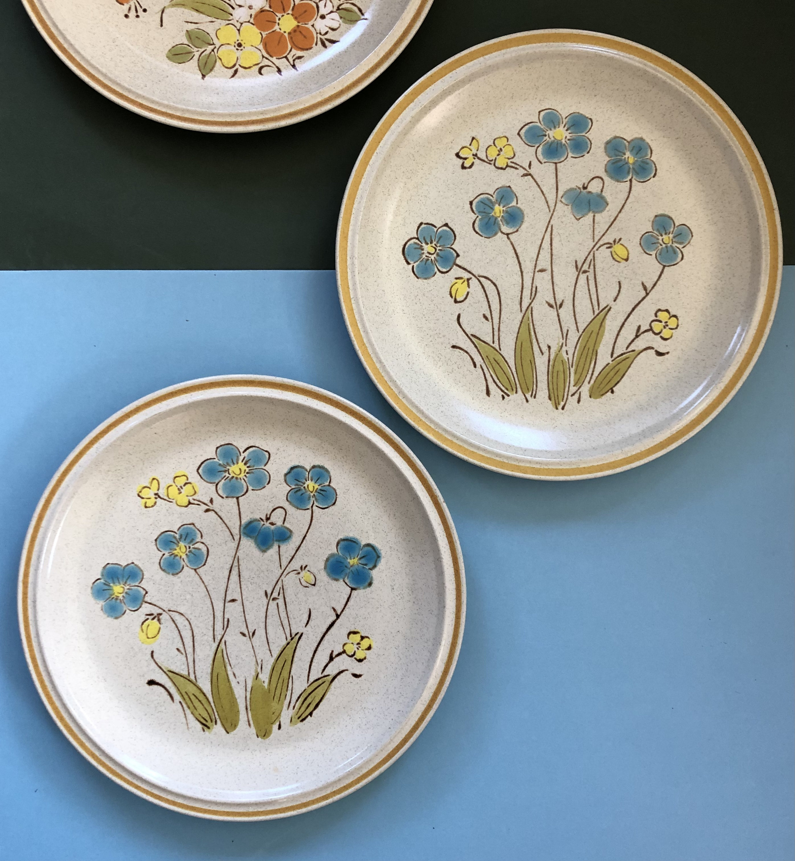 Groovy Hearthside garden Festival Stoneware Dinner Plates - Etsy