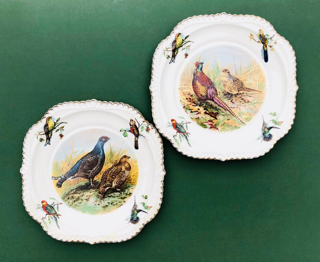 Vintage Bird Plates, Set of Two - Etsy