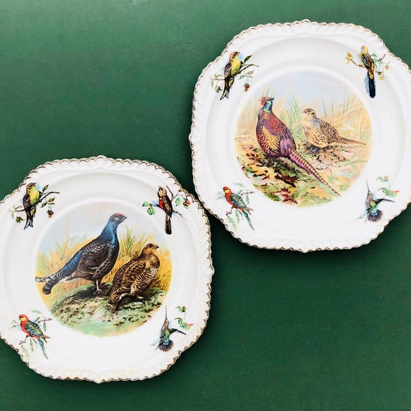 Bird Plates - Etsy