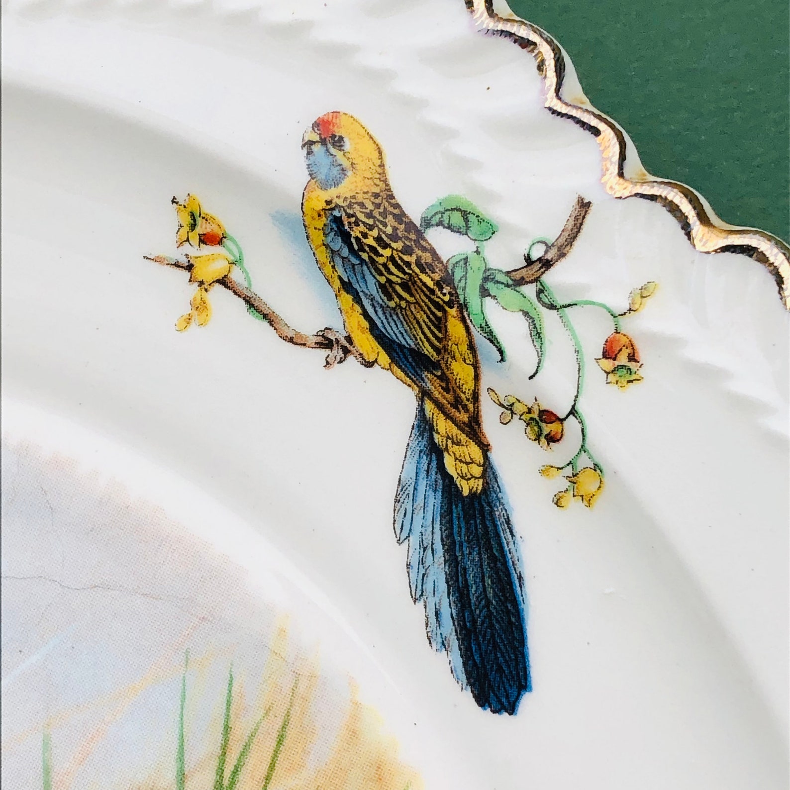 Vintage Bird Plates, Set of Two - Etsy