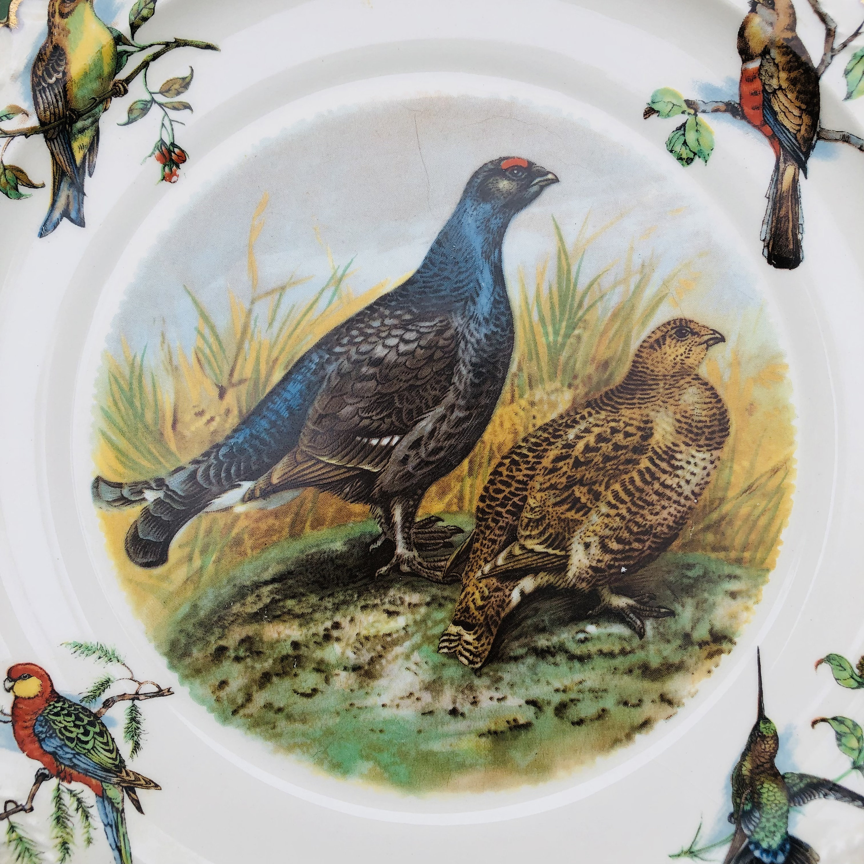 Vintage Bird Plates Set of Two - Etsy