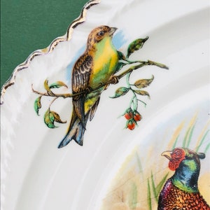 Vintage Bird Plates, Set of Two - Etsy