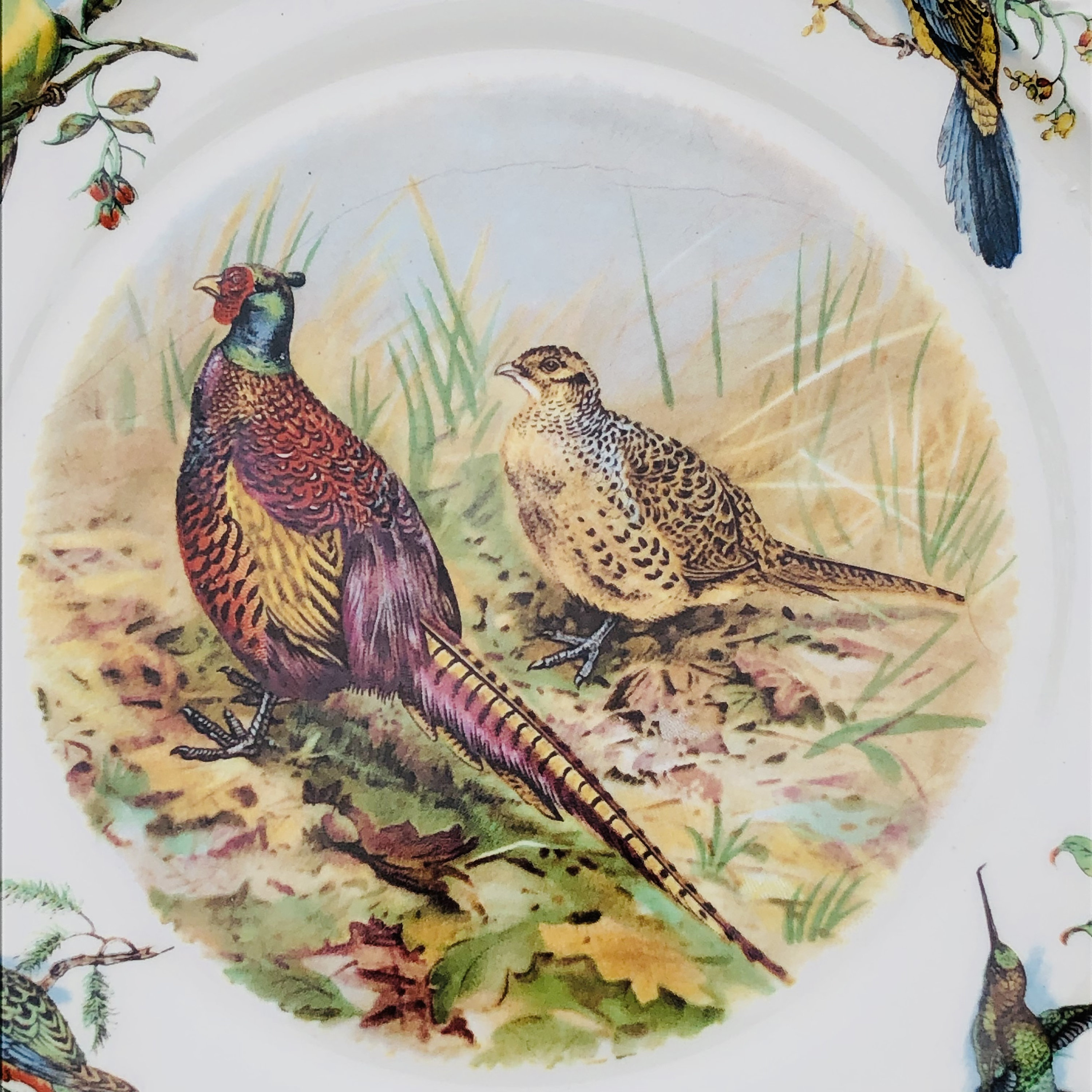 Vintage Bird Plates, Set of Two - Etsy