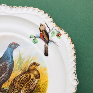 Vintage Bird Plates, Set of Two - Etsy