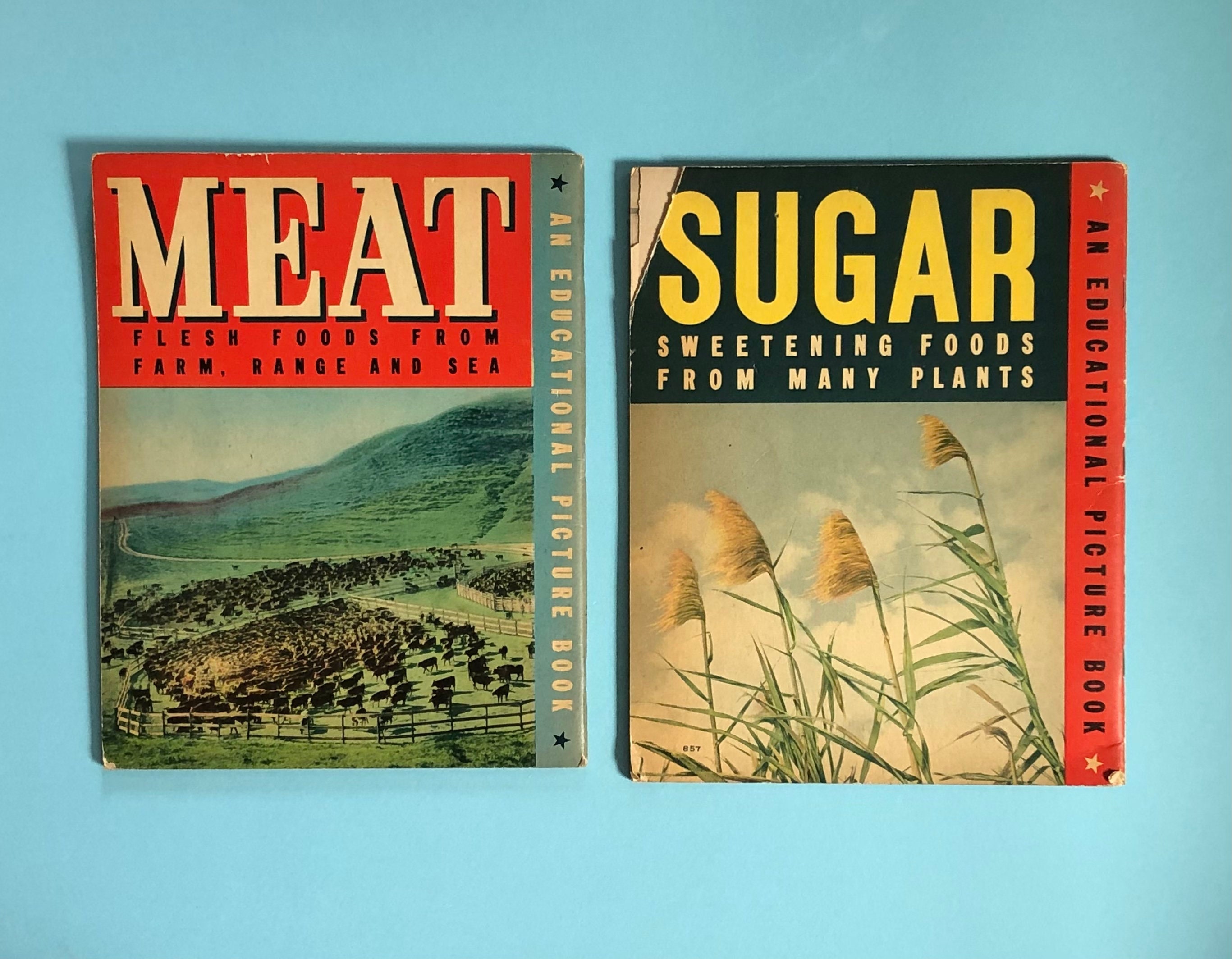 Rare Vintage 1939 Educational Booklets: “meat” and “sugar" - Etsy