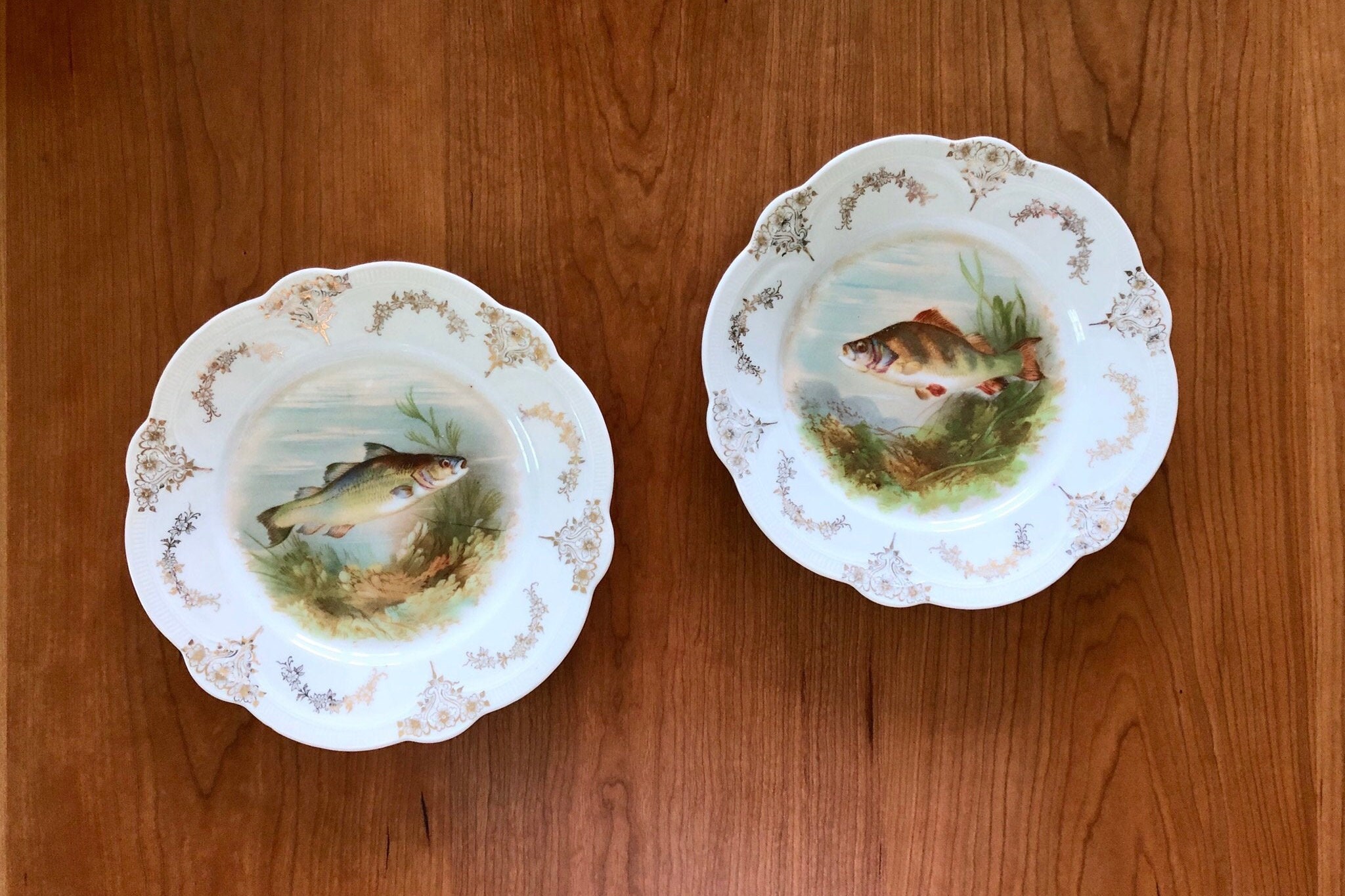 Antique Bone China Fish Plates Set of Two | Etsy