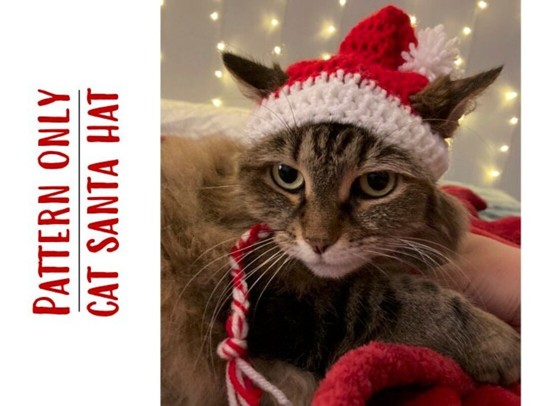 Cat Santa Hat Crochet Pattern | Christmas Decor | Christmas Gift | Cat ...