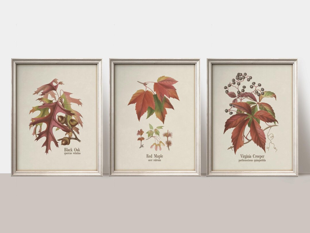 Fall Leaves Print Set | Autumn Wall Decor | Fall Wall Art | Vintage ...