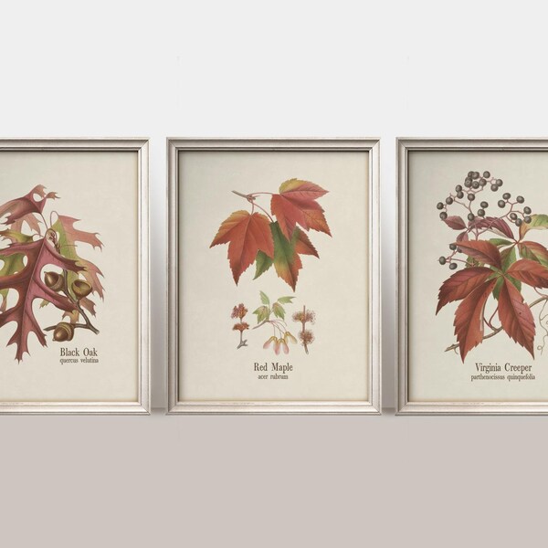 Fall Leaves Print - Etsy
