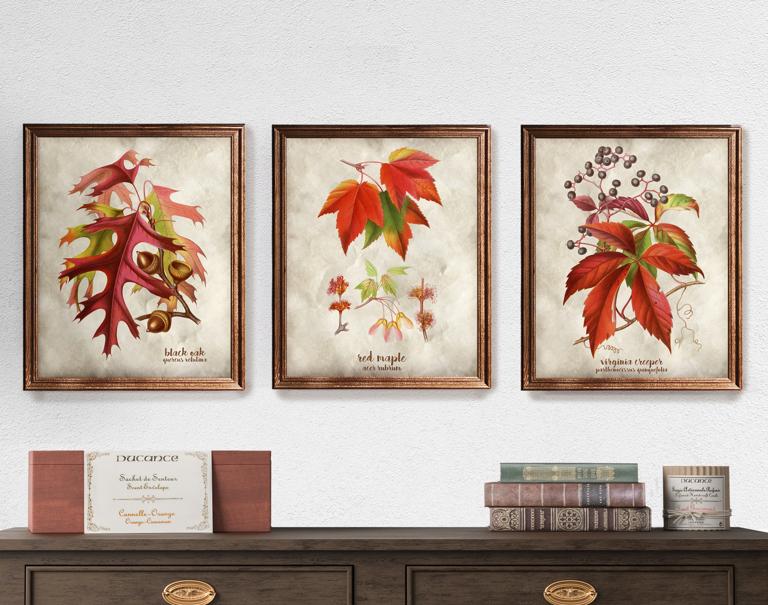 Fall Leaves Print Set Autumn Wall Decor Fall Wall Art - Etsy