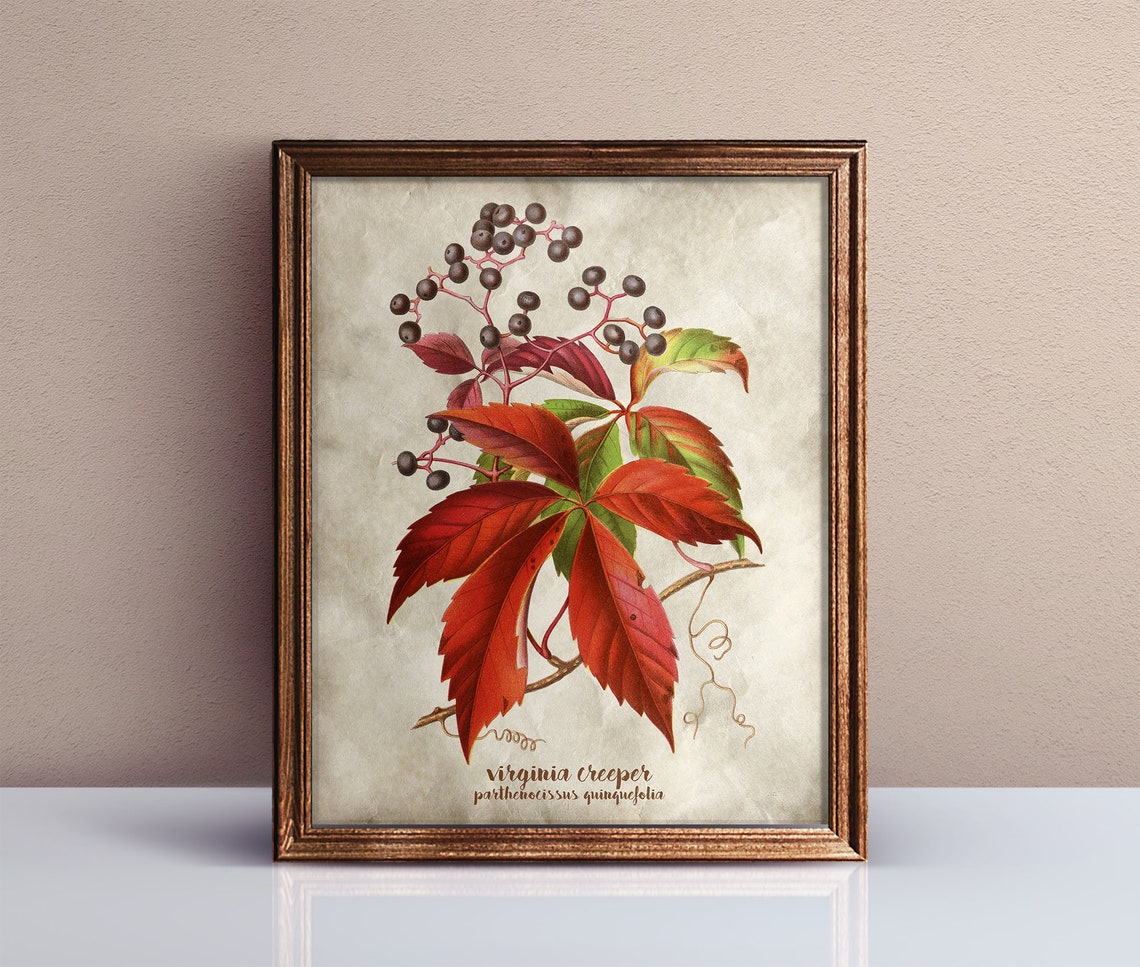 Fall Leaves Print Set Autumn Wall Decor Fall Wall Art - Etsy