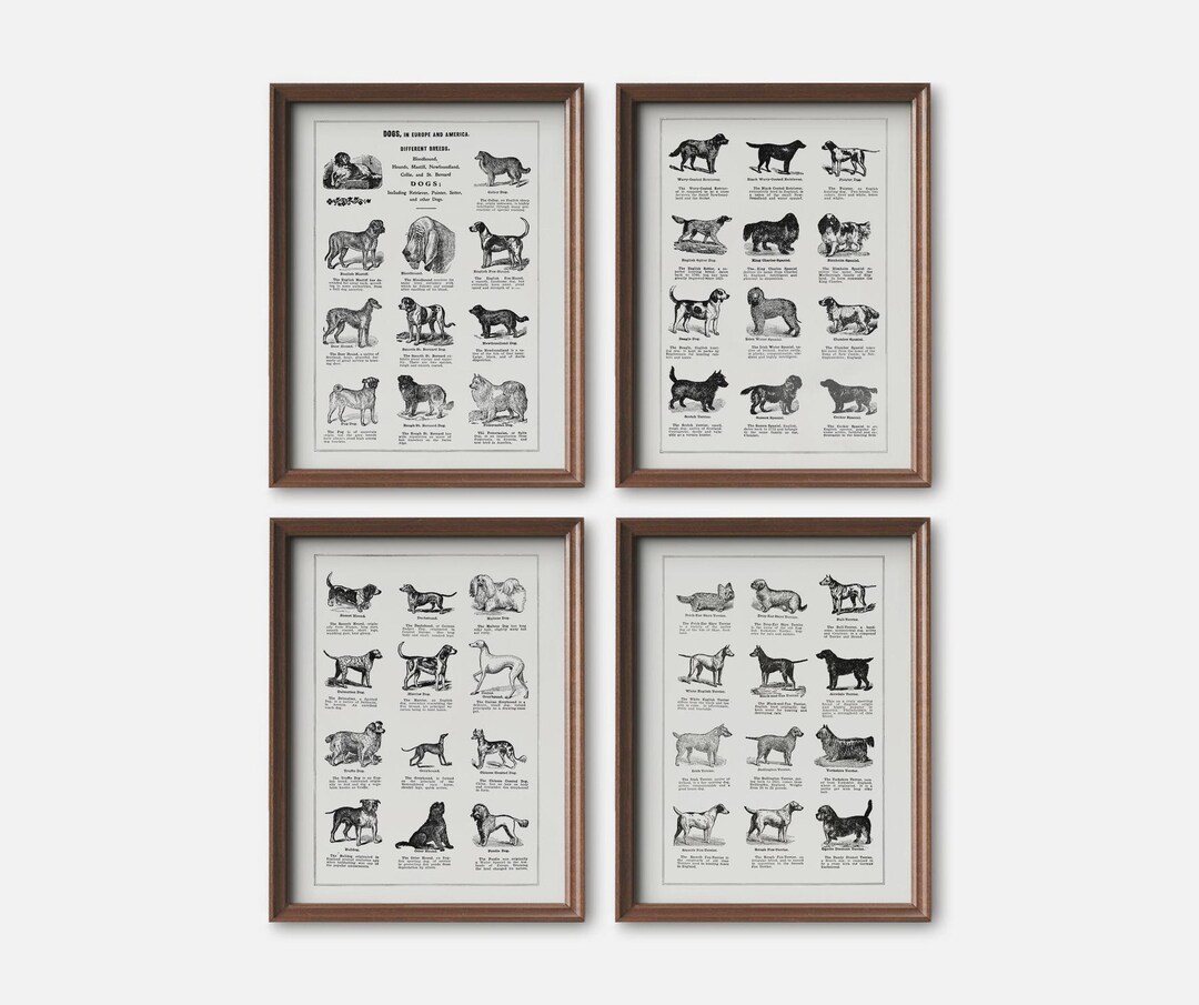 Dog Breeds Print Set of 4 | Dog Lover Wall Art | Reproduction Art ...