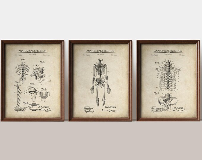 Human Anatomy Patent Prints Set of 3 Vintage Medical Wall Decor Gift ...