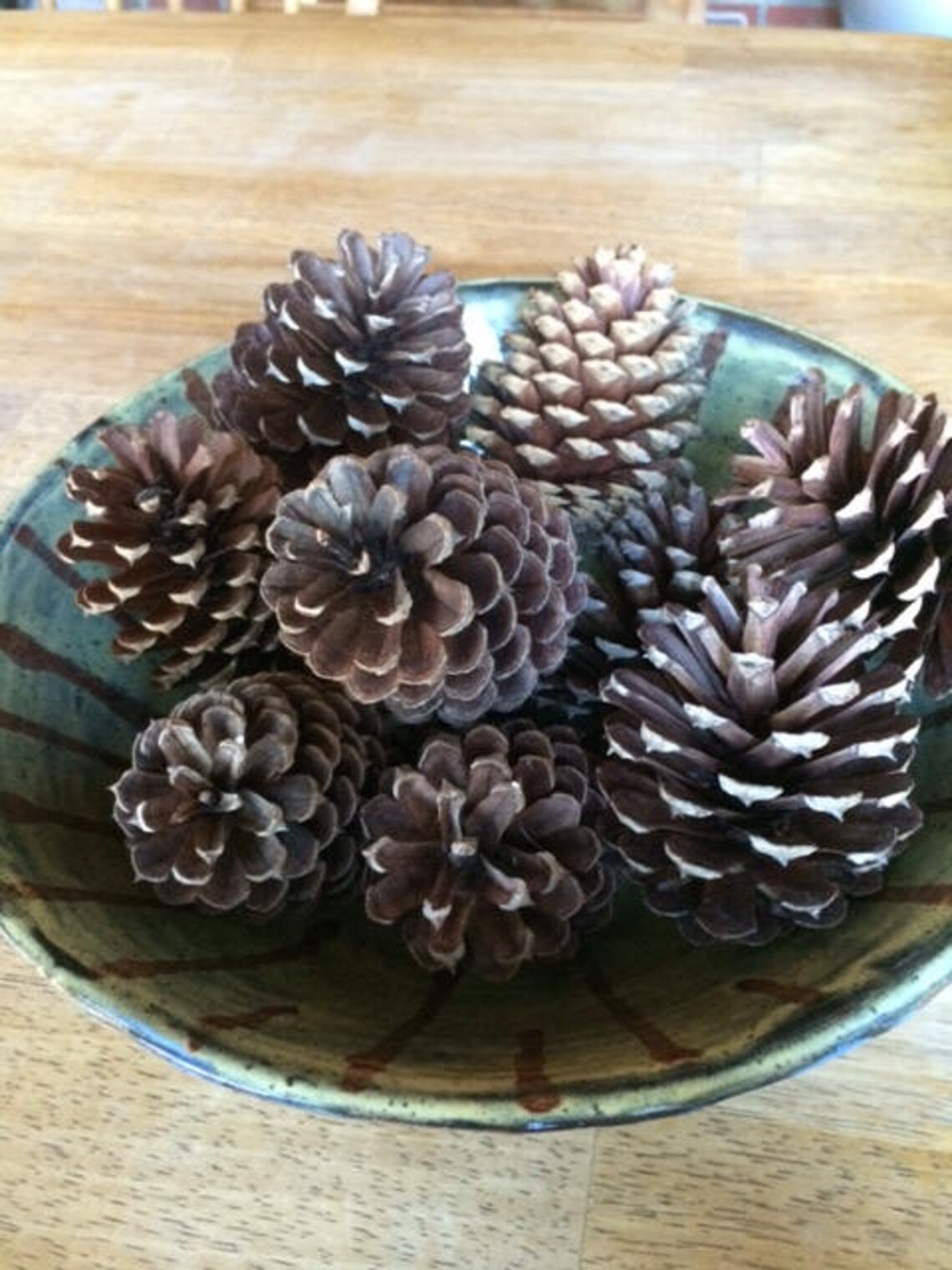 Loblolly Pine Cones 80 Count - Etsy