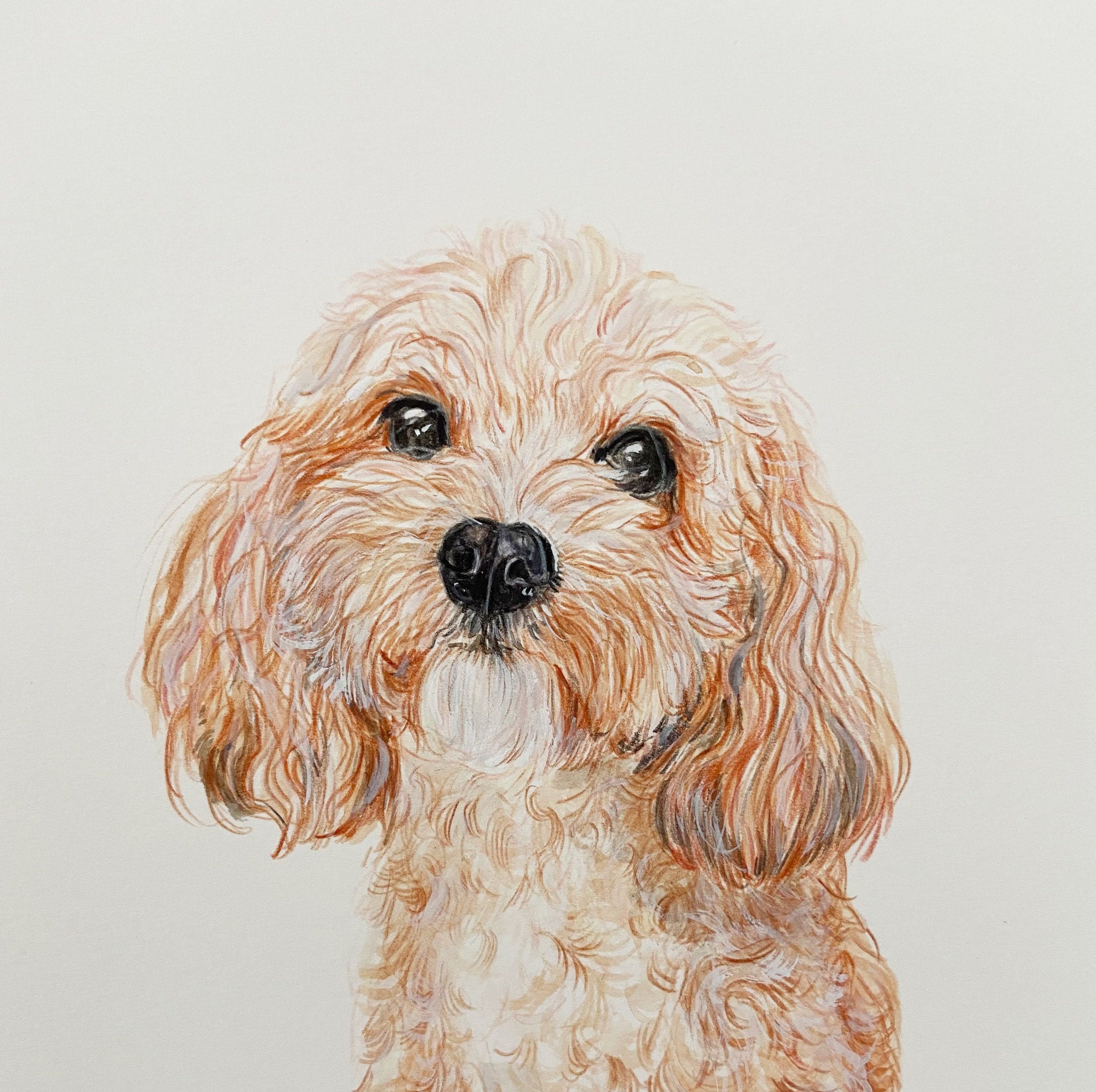 Custom Pet Portraits Watercolour and Pencil - Etsy