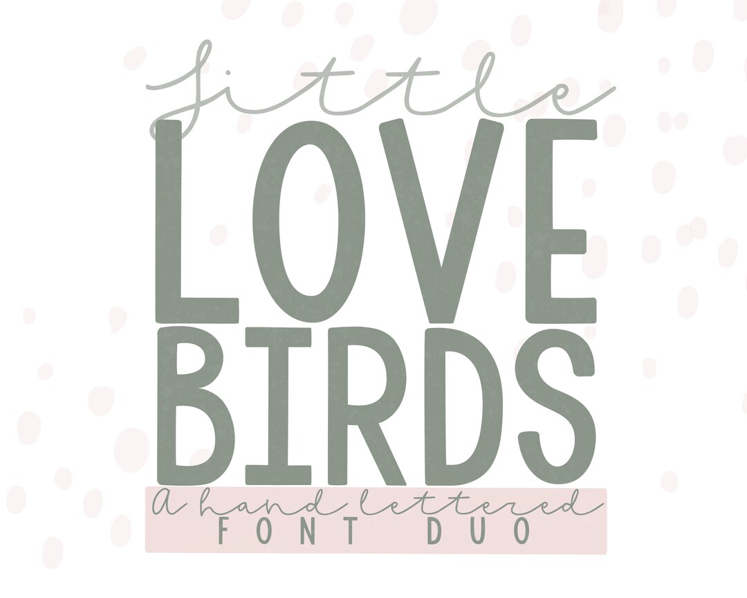 Hand Lettered Script Font Duo - Crafting Font - Display - Fonts for ...