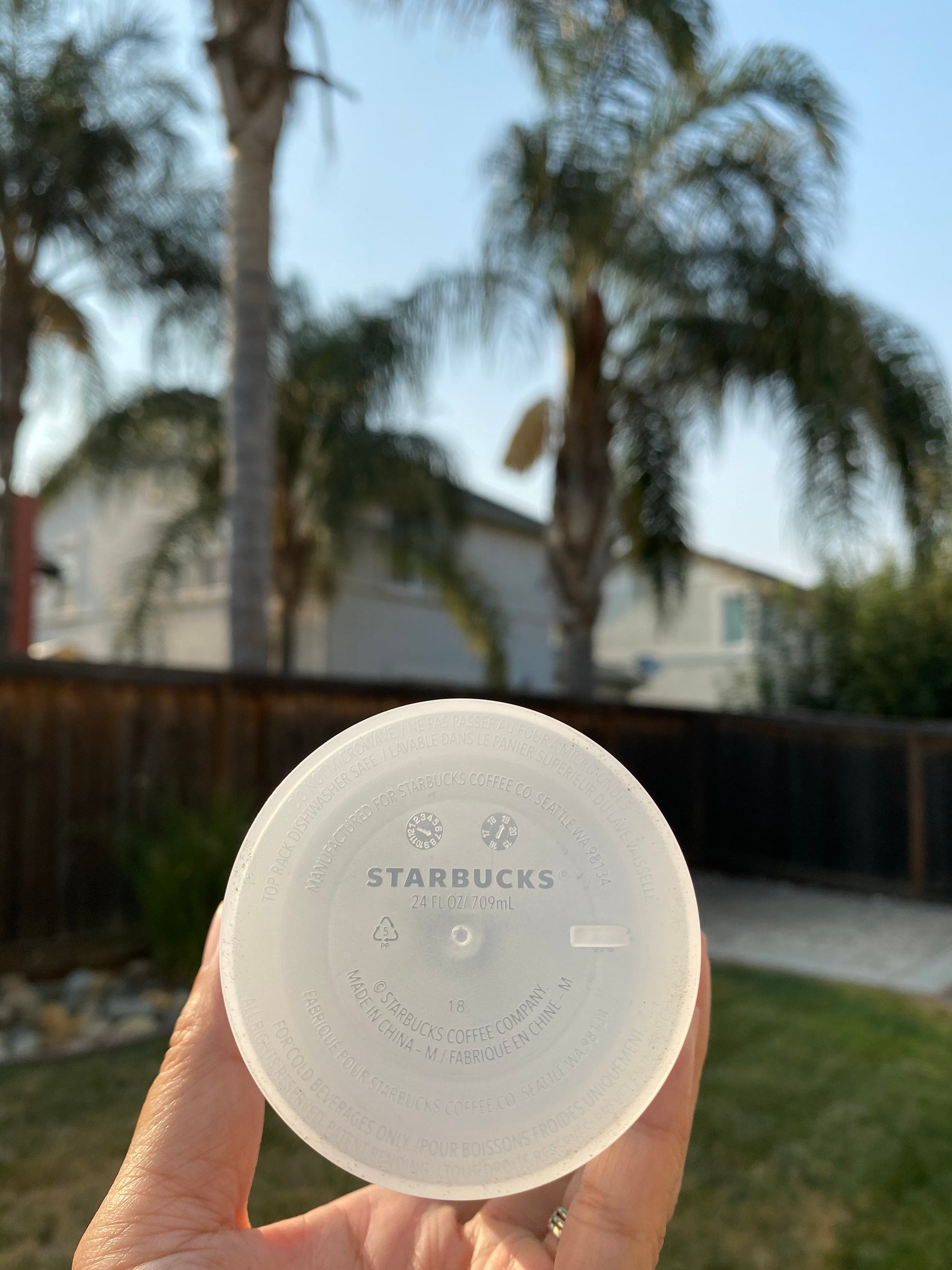 Plain Starbucks Cold Cup / Starbucks Cold Cup / Plain - Etsy