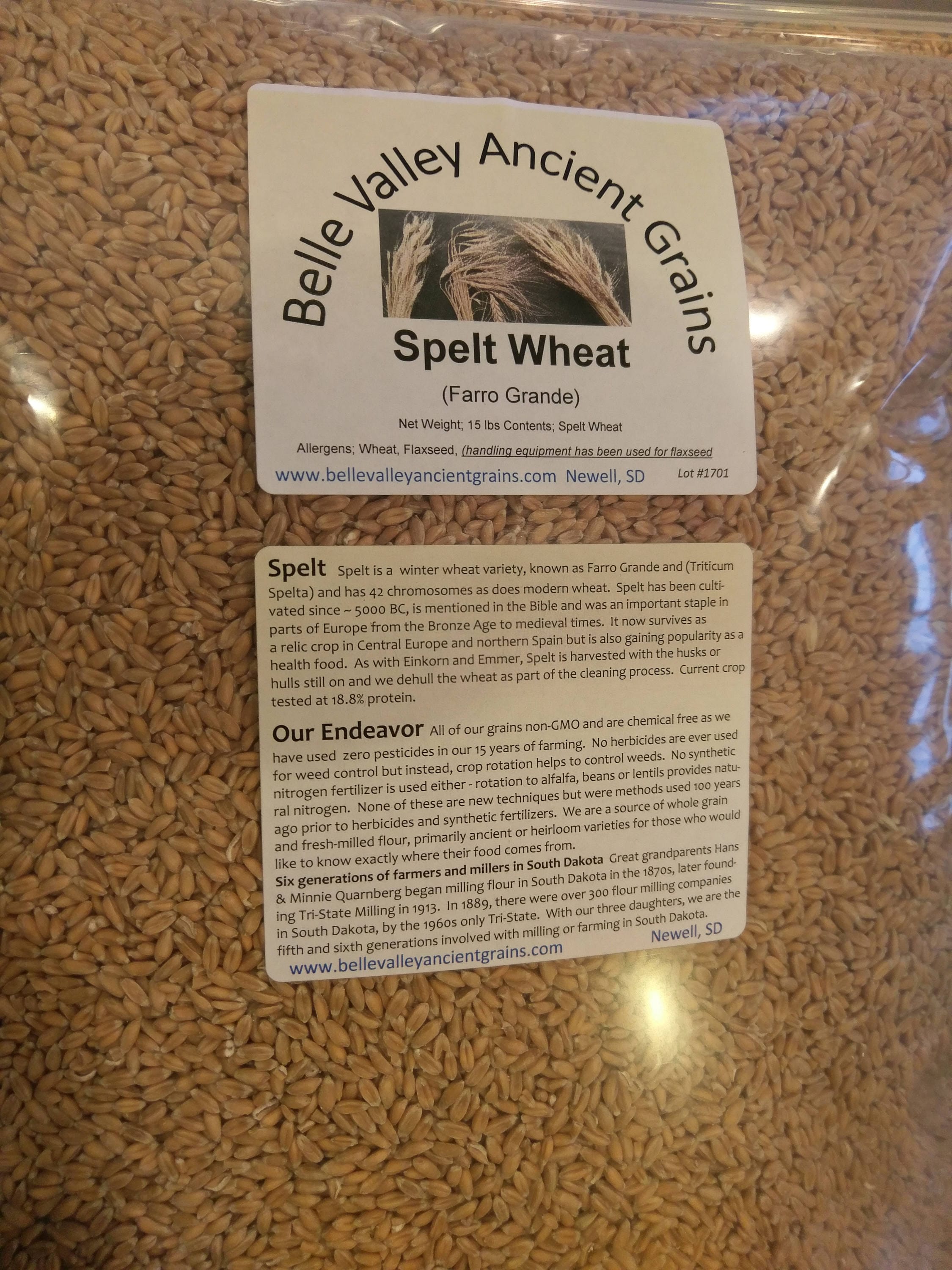 Spelt Wheat - Farro Grande Ancient Grain, 15 Lb - Etsy