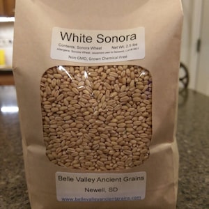 White Sonora Wheat Berries, 2.5 Lb, Certified Organic - Etsy