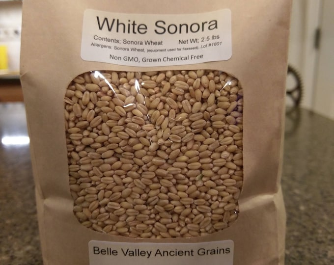 White Sonora Wheat Berries 2.5 Lb - Etsy