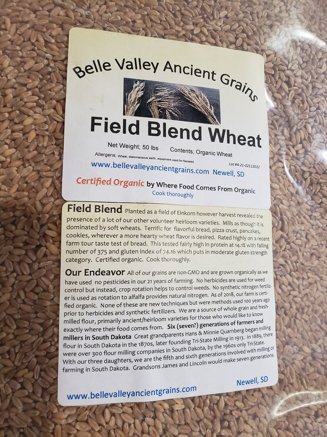 Field Blend Wheat, Certified Organic, 15 Lb - Etsy