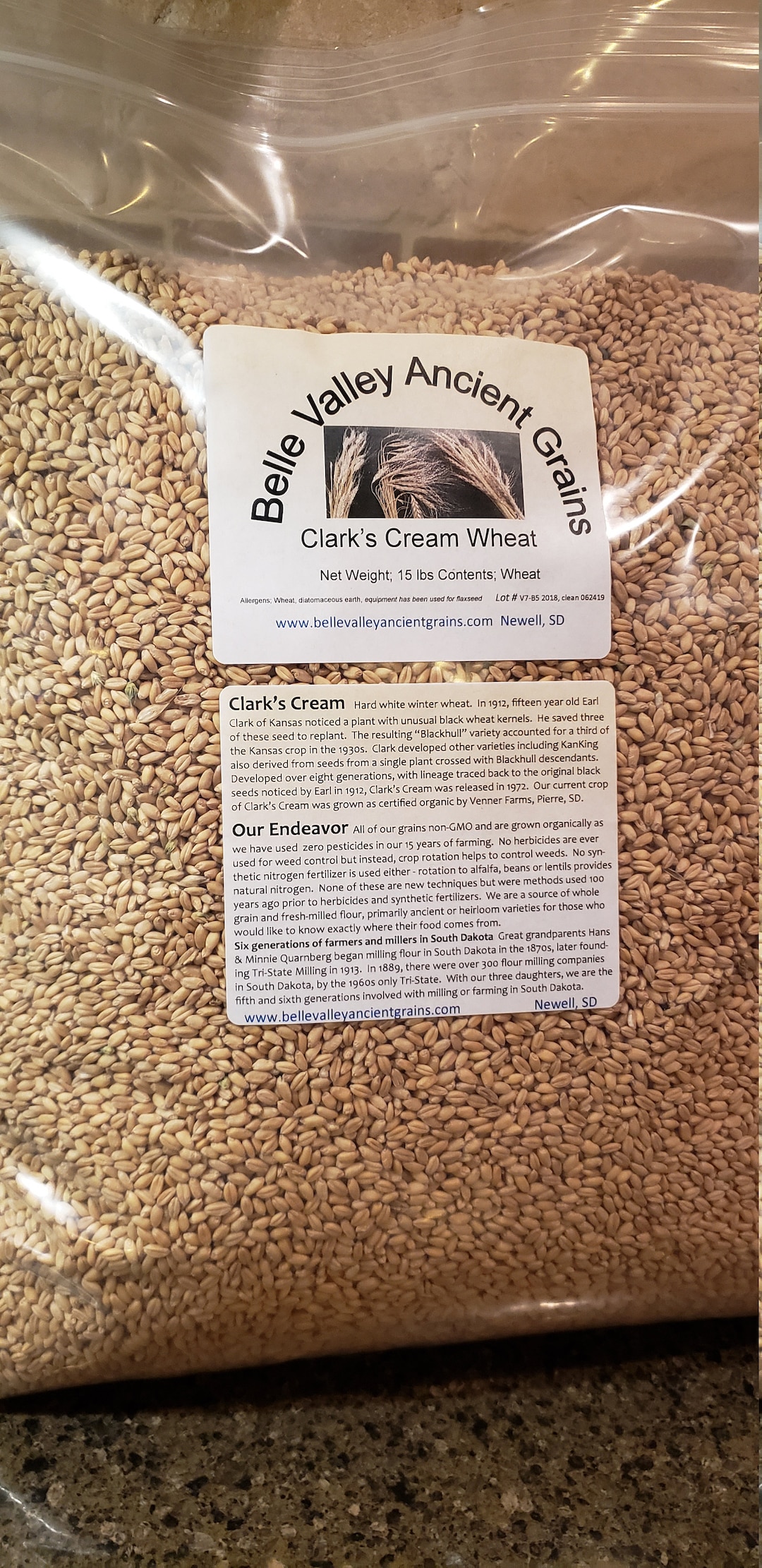 Clark's Cream Wheat Berries 15 Lb - Etsy