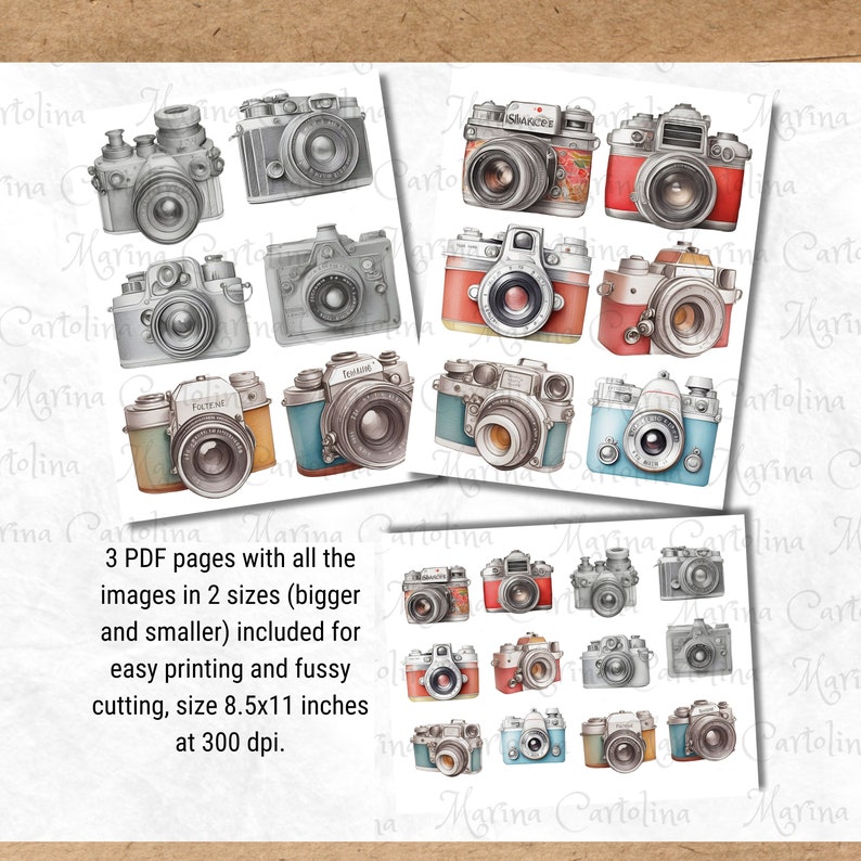 12 Vintage Cameras Clip Art, Antique Vintage Clip Art Graphics for ...