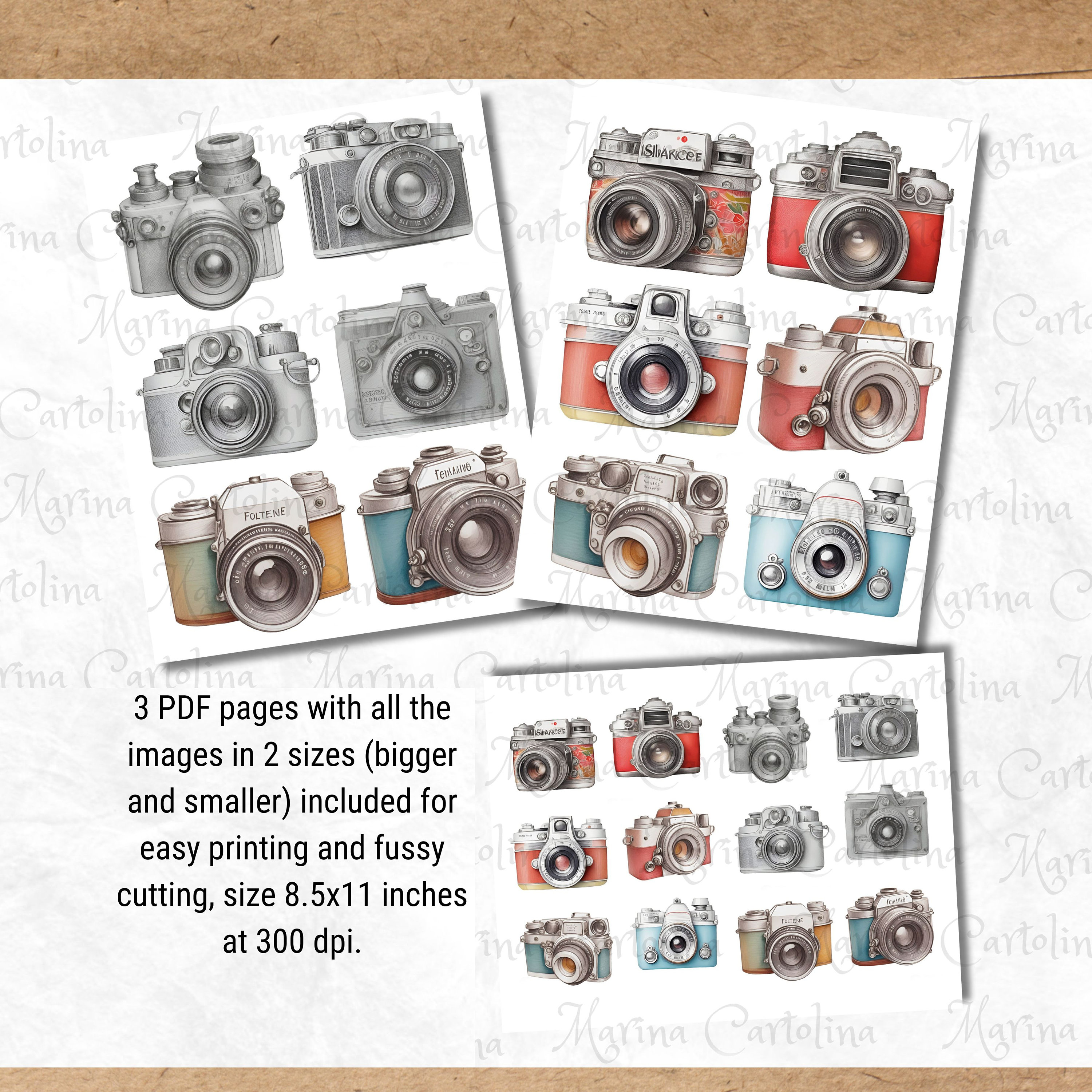 12 Vintage Cameras Clip Art, Antique Vintage Clip Art Graphics for ...