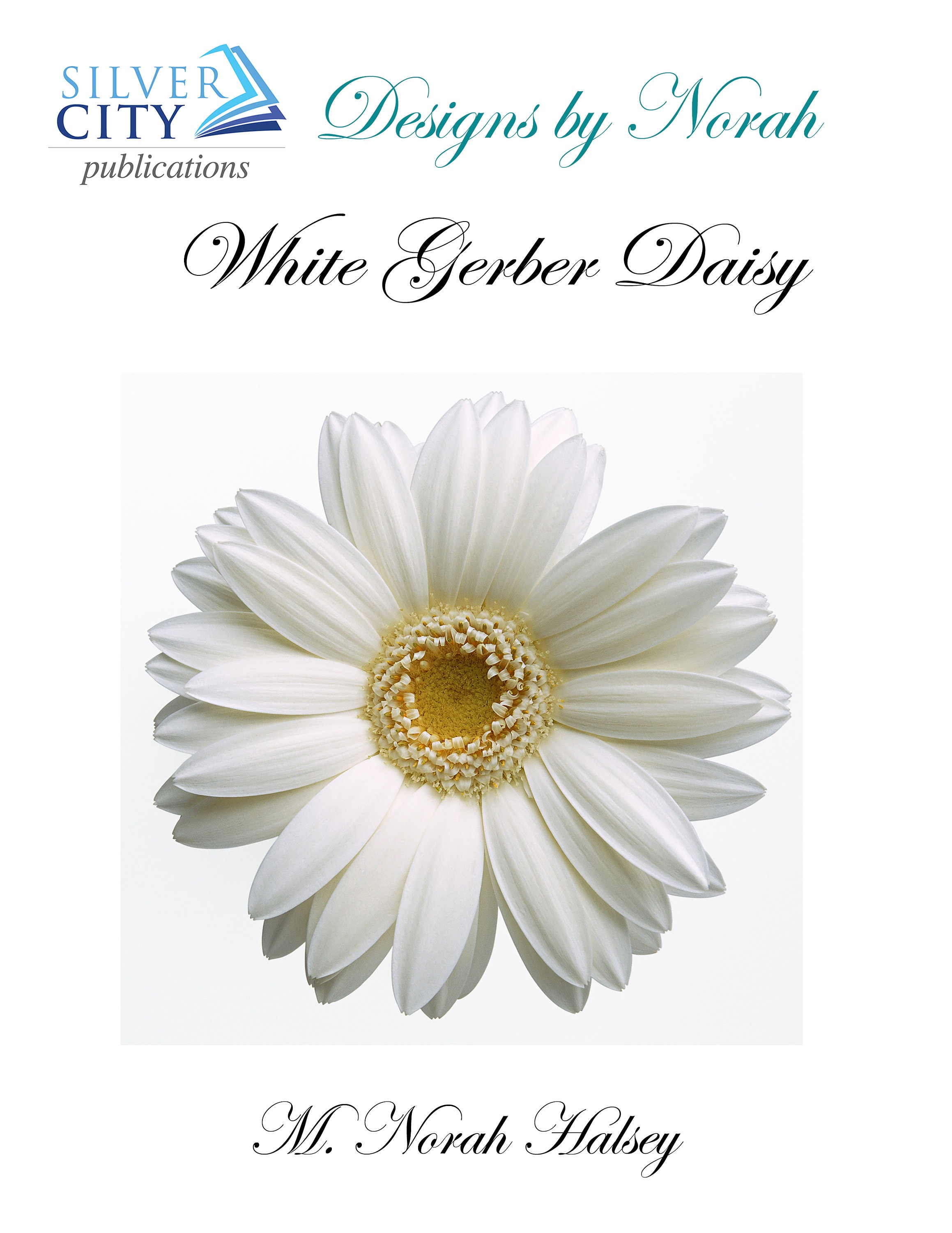 Colorful Gerber Daisy Pattern