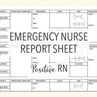 Nurse Report Sheet - Etsy