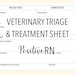 Vet Med Acronym Suffix Prefix Veterinary Cheat Sheet Vet Tech Notes ...