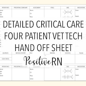 Detailed Critical Care 4 Patients Vet Tech Nurse Veterinarian Report ...