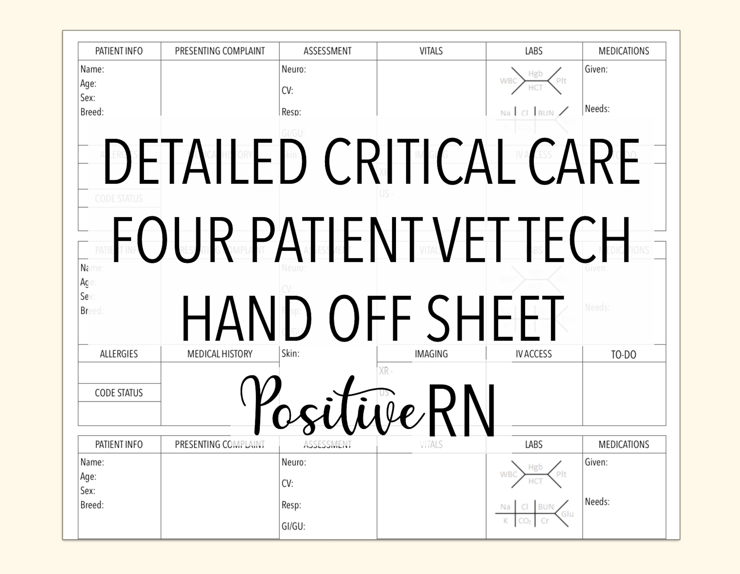 Vet Tech Critical Care Report Sheet: 4 Patients (digital Download) - Etsy