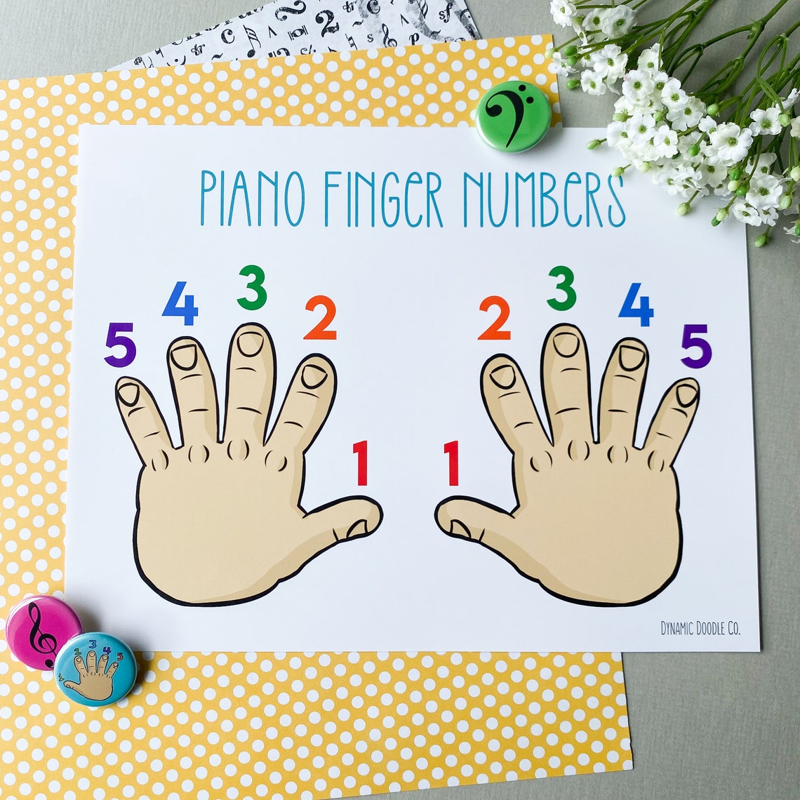 Piano Finger Numbers Poster//piano Teacher//music - Etsy